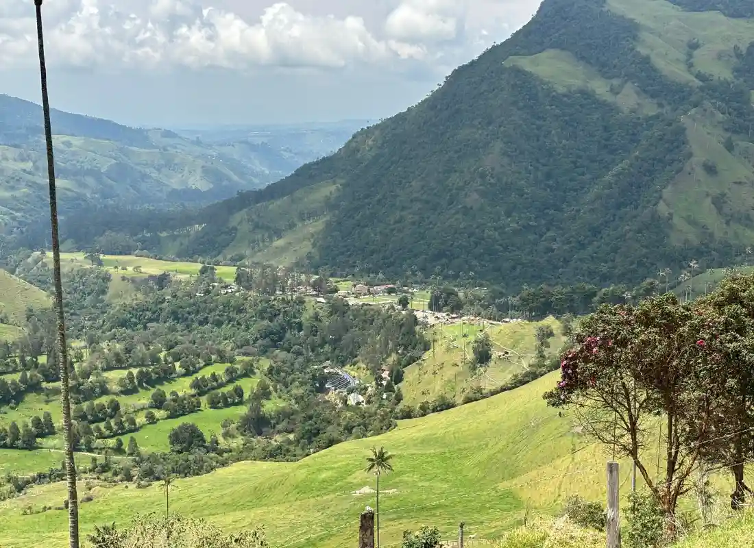 Colombia | How to Take the Bus from Salento to Cali » Food Travel Explore